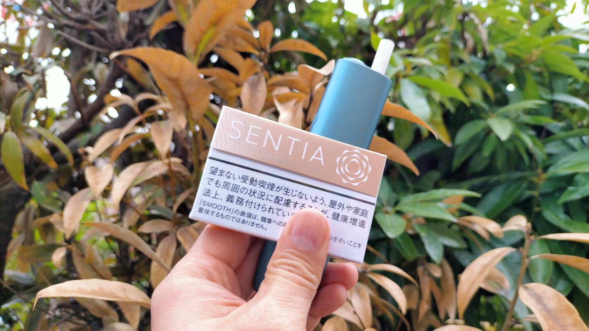 アイコスイルマのセンティアをレビュー！味の違いと吸ってみた感想